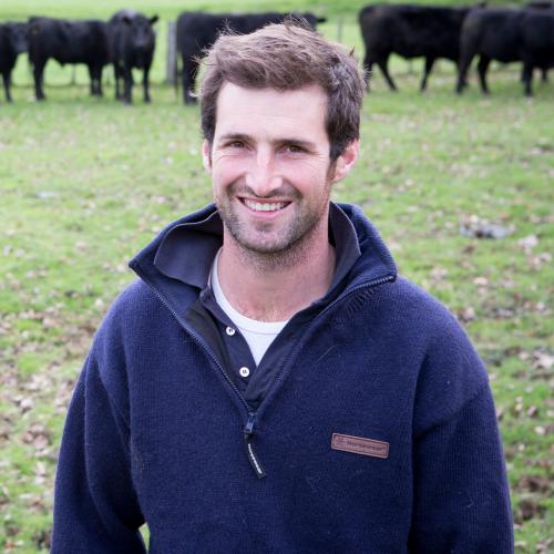 Welcome to AngusPure | AngusPure – AngusPure NZ